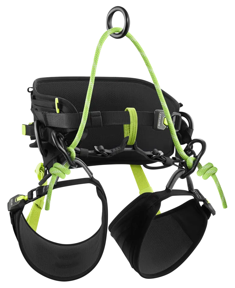 TREEREX TRIPLE LOCK | tree-care harness | EDELRID