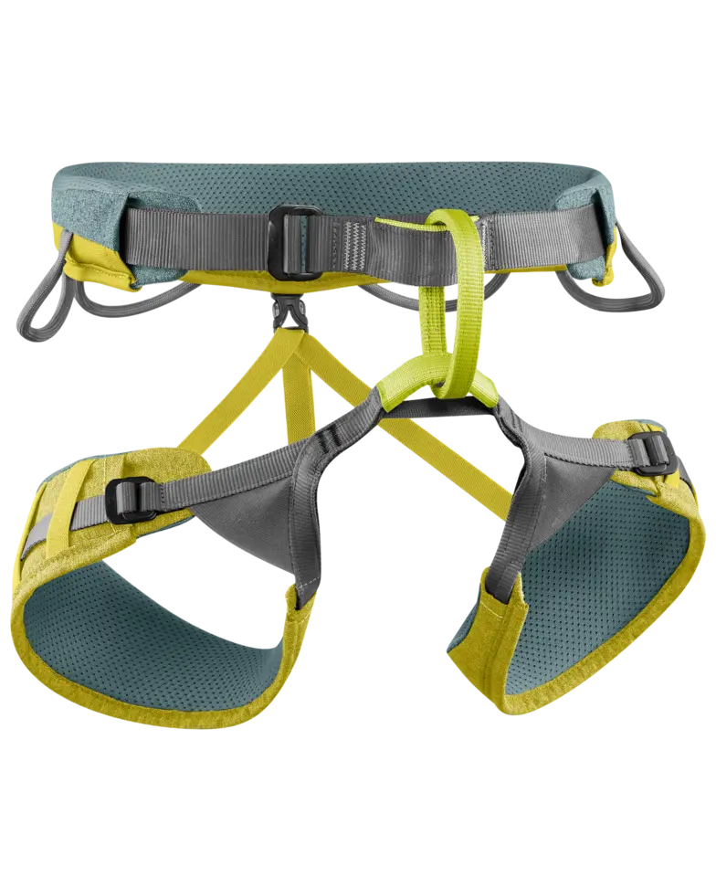 JAY | climbing harness | EDELRID