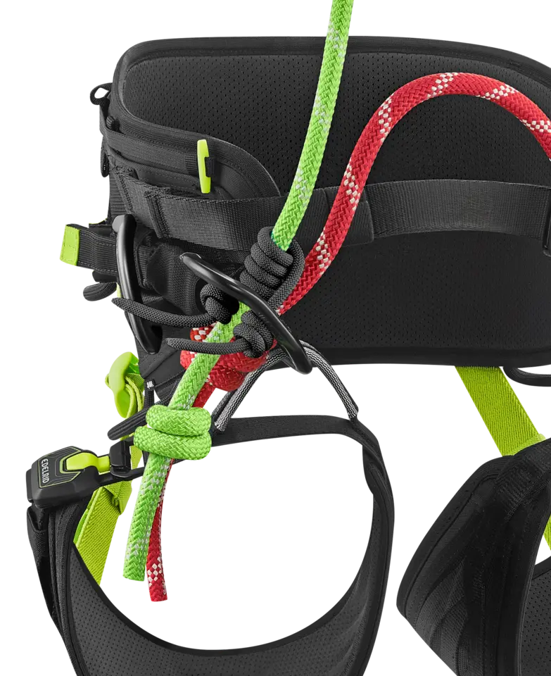 TREEREX TRIPLE LOCK | tree-care harness | EDELRID