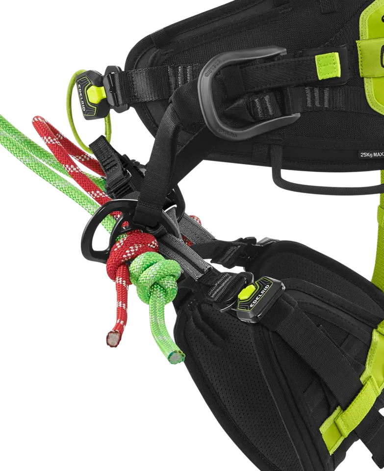 TREEREX TRIPLE LOCK | tree-care harness | EDELRID