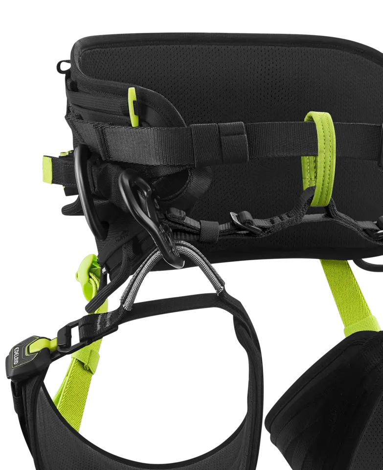 TREEREX TRIPLE LOCK | tree-care harness | EDELRID