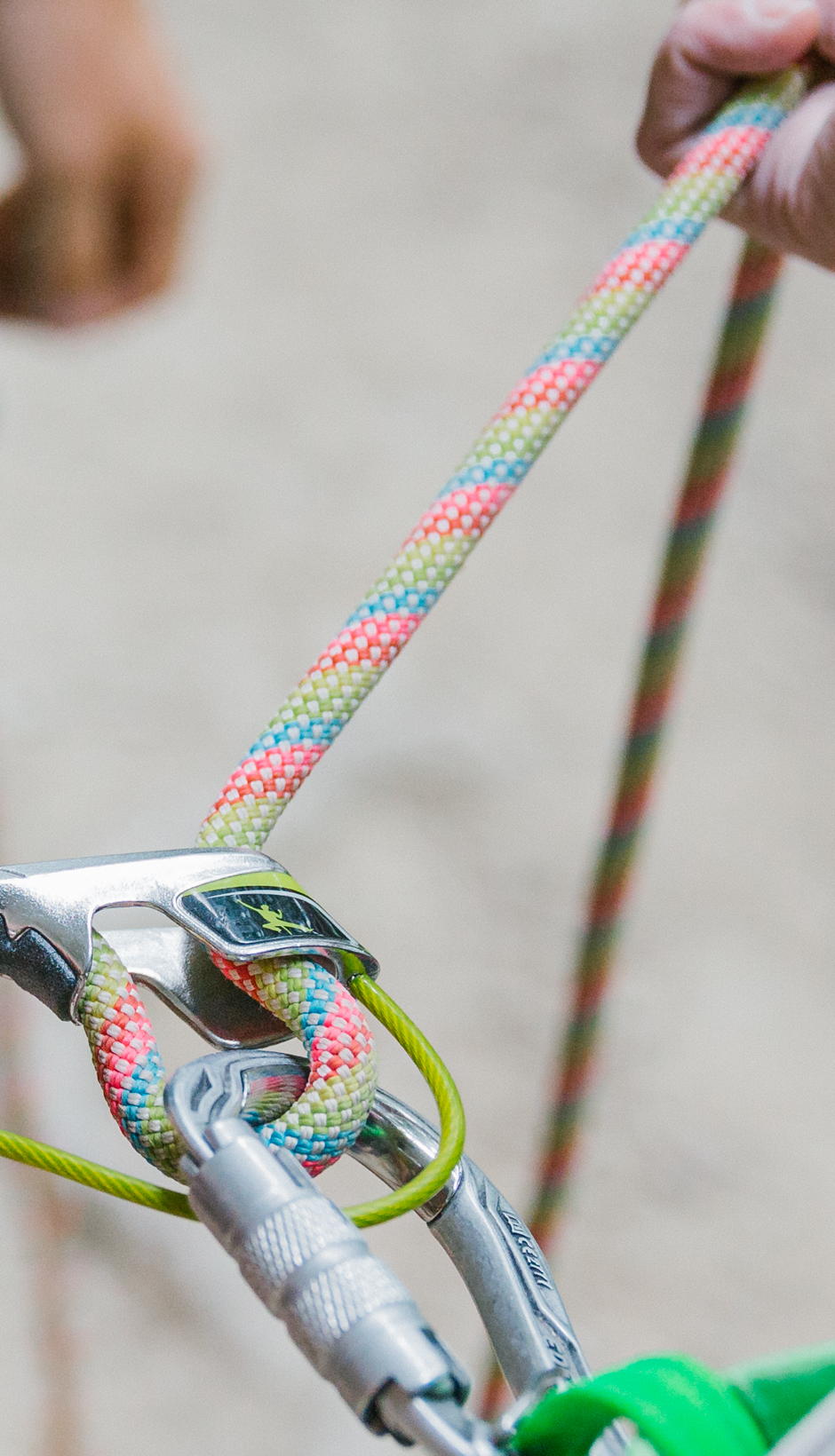 Kinglet 9.2 mm | Dynamic Ropes | Edelrid | EDELRID